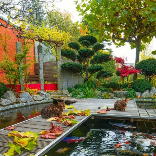 Gartentrends 2018 – 10 tolle Ideen für Garten, Balkon & Terrasse