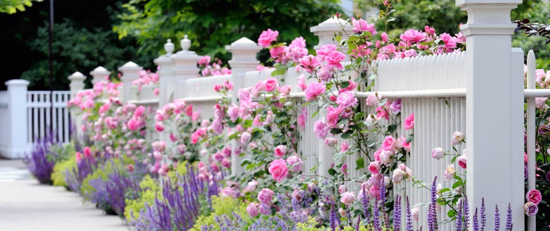 Gartengestaltung - 25 moderne Ideen (Bilder + Beispiele) & Kosten